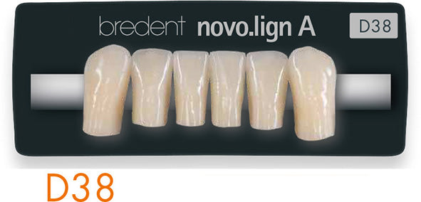 Bredent novo.lign Veneers Teeth – Lower anterior D38, 6er | Impulsedent Australia