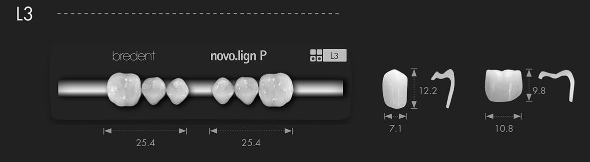 Bredent novo.lign Veneers Teeth – Upper posterior L3, 3 left and 3 rig | Impulsedent Australia